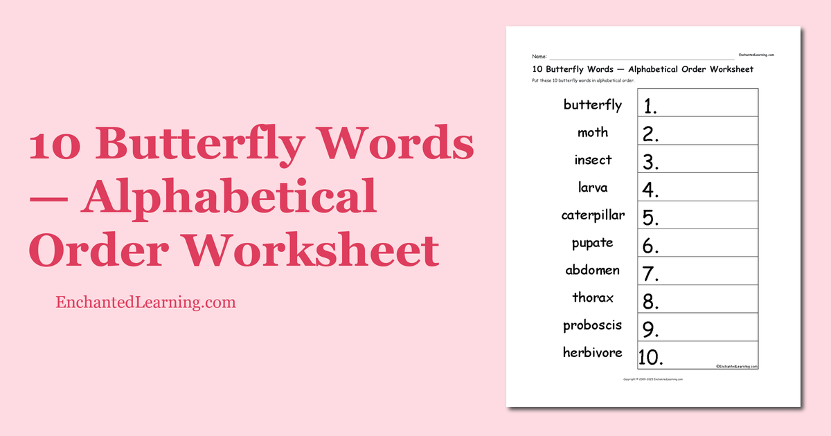 10 Butterfly Words — Alphabetical Order Worksheet - Enchanted Learning