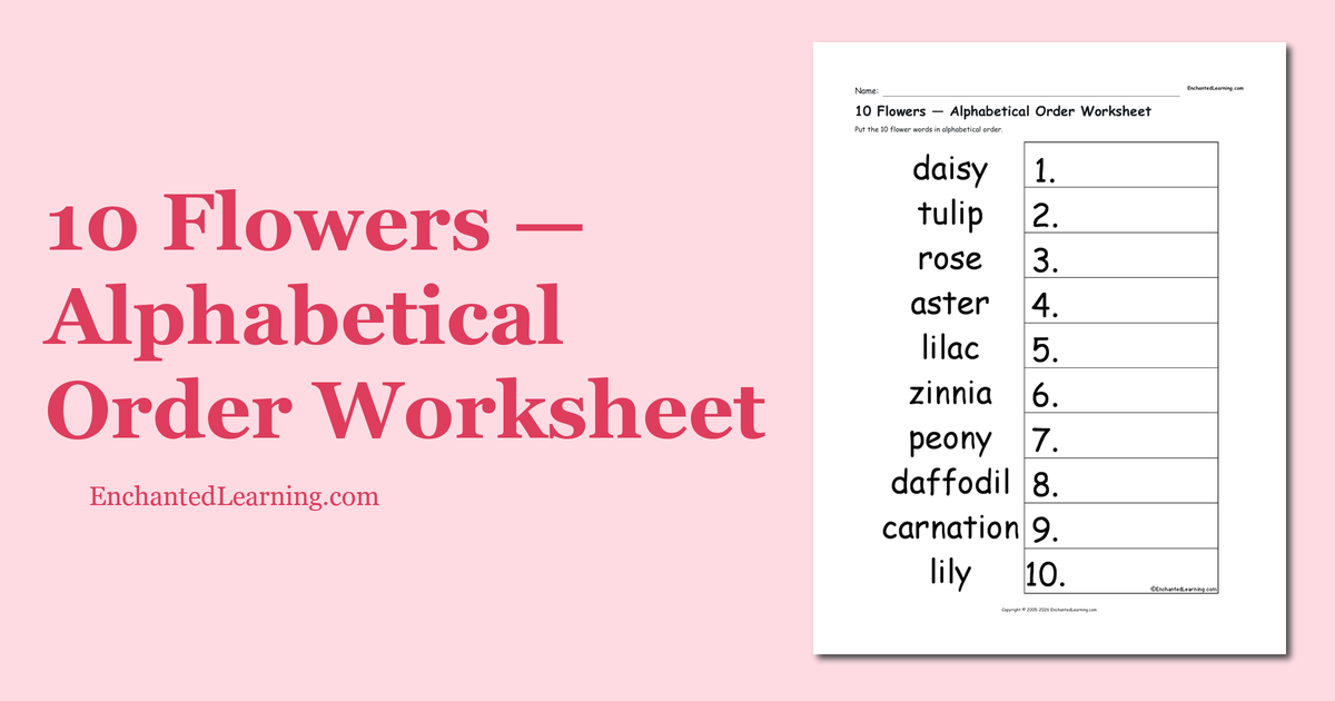 10 Flowers — Alphabetical Order Worksheet - Enchanted Learning