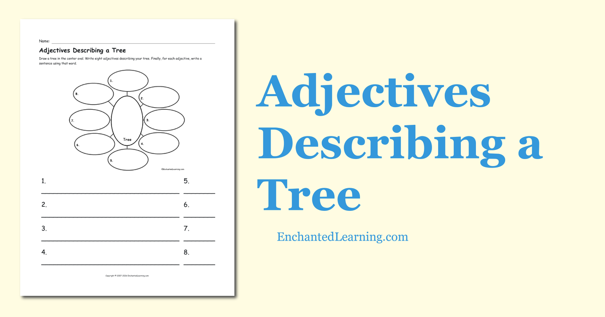 Adjectives Describing A Tree Enchanted Learning