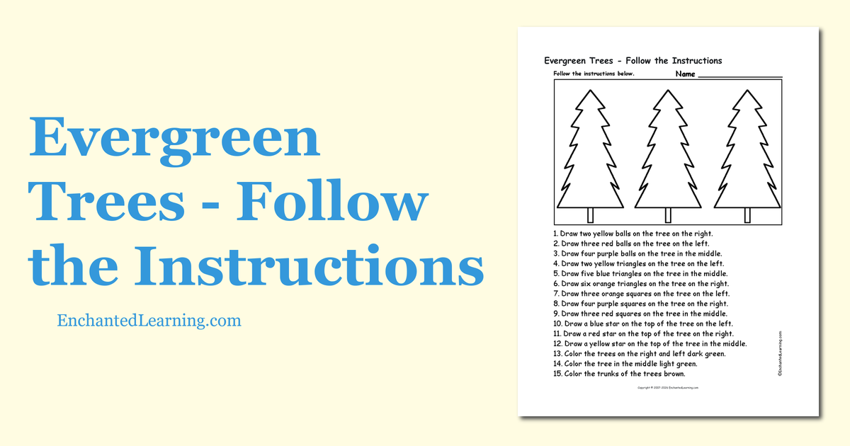 Evergreen Trees - Follow the Instructions - Enchanted Learning
