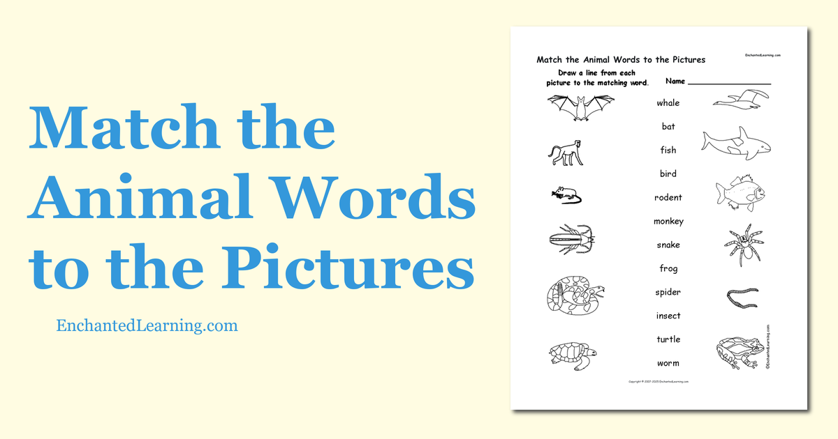 Match the Animal Words to the Pictures - Enchanted Learning