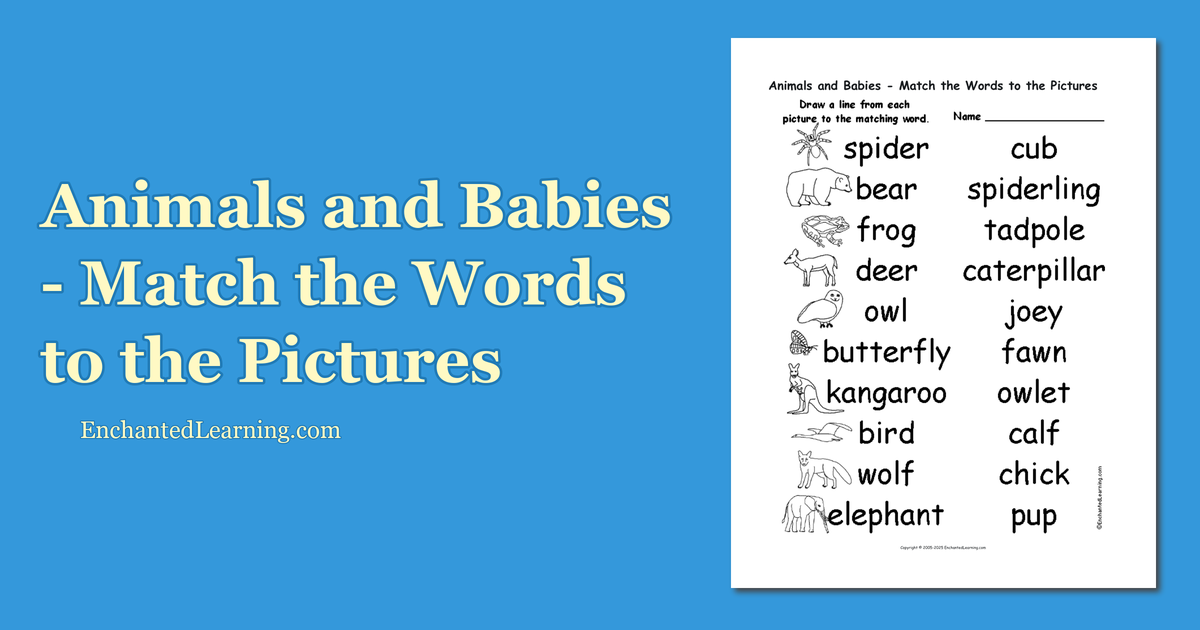 Animals and Babies - Match the Words to the Pictures - Enchanted Learning