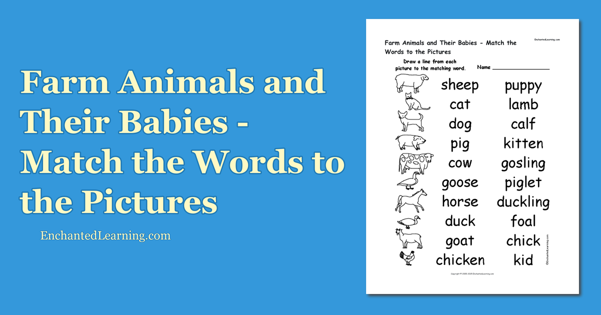 Farm Animals and Their Babies - Match the Words to the Pictures ...