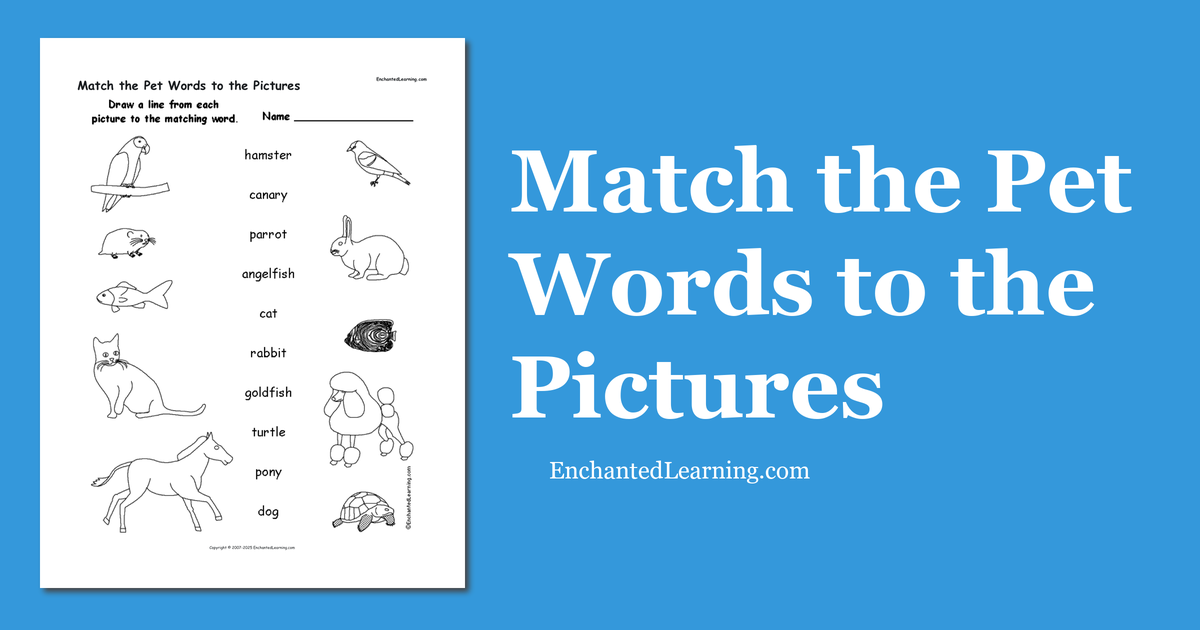 Match the Pet Words to the Pictures - Enchanted Learning