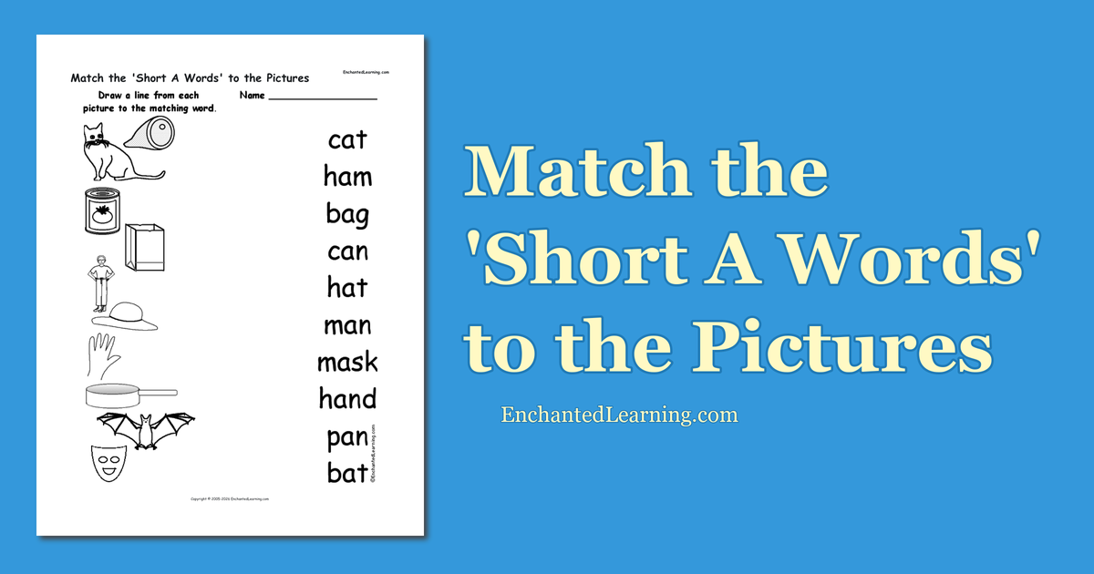 Other Words For Short at David Daigle blog