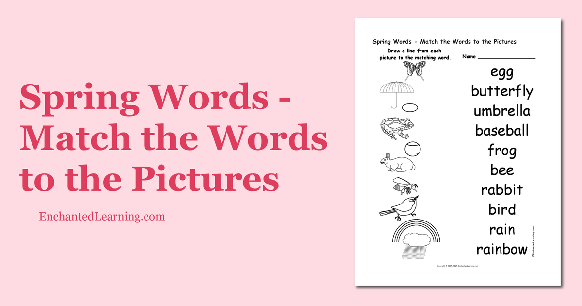 Matching Spring Words