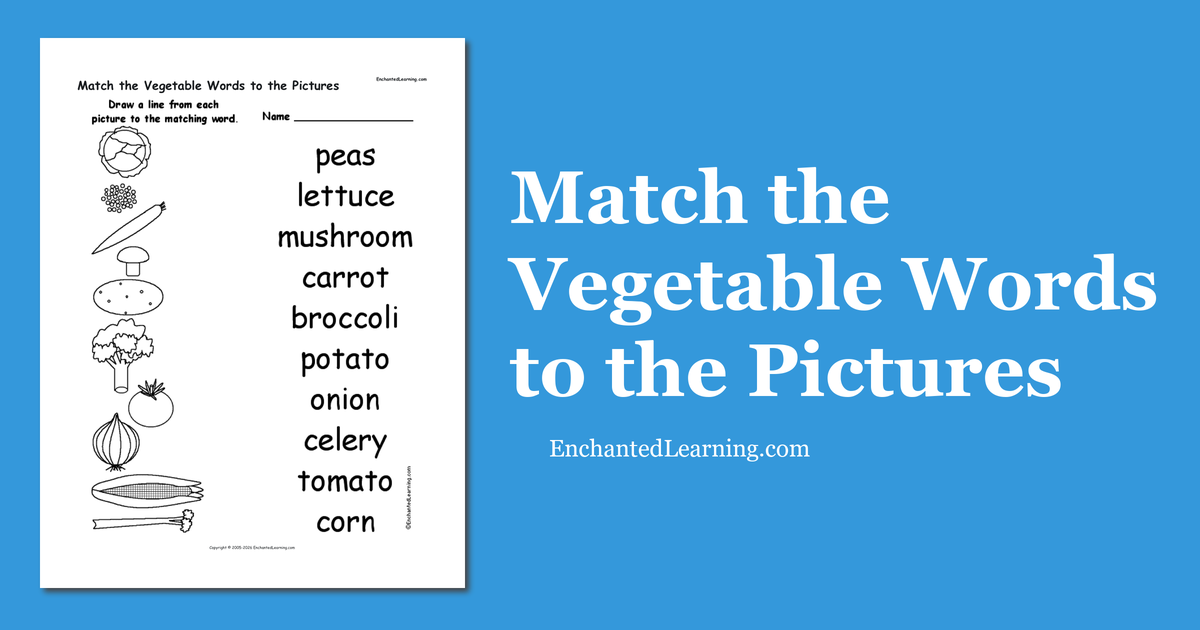 Match the Vegetable Words to the Pictures - Enchanted Learning
