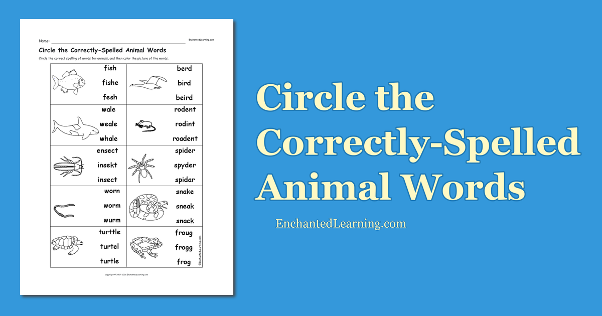 Circle the Correctly-Spelled Animal Words - Enchanted Learning