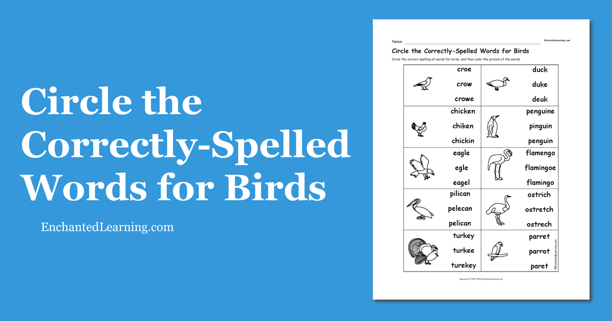 Circle the Correctly-Spelled Words for Birds - Enchanted Learning