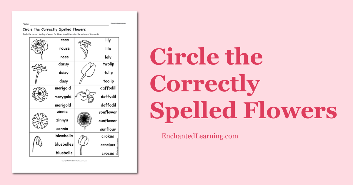 Circle the Correctly Spelled Flowers - Enchanted Learning
