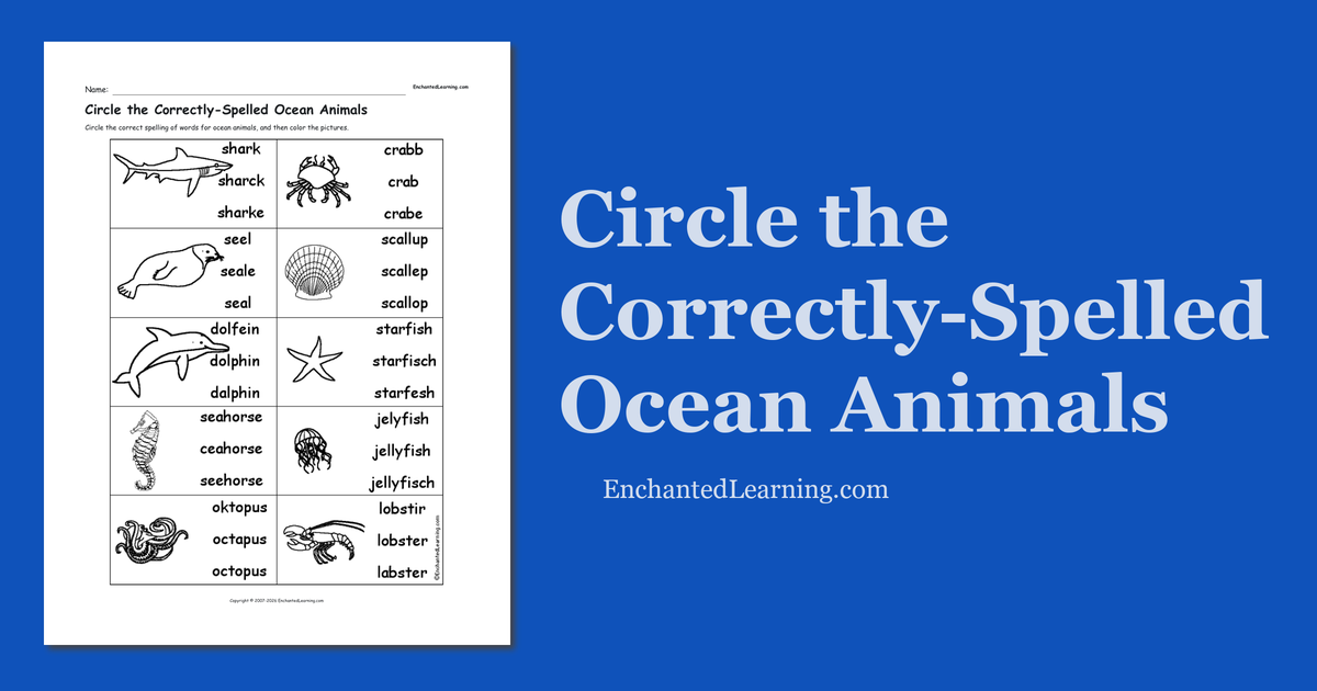 Circle the Correctly-Spelled Ocean Animals - Enchanted Learning
