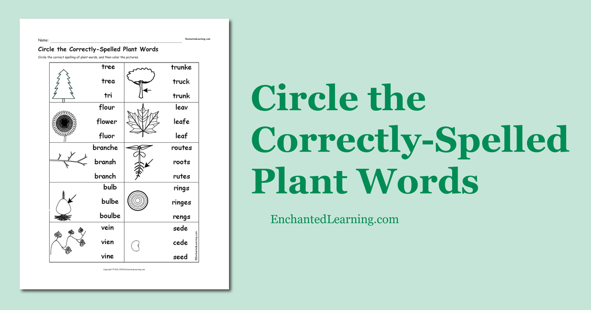 Circle the Correctly-Spelled Plant Words - Enchanted Learning