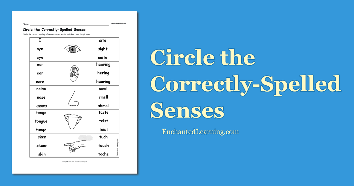Circle the Correctly-Spelled Senses - Enchanted Learning