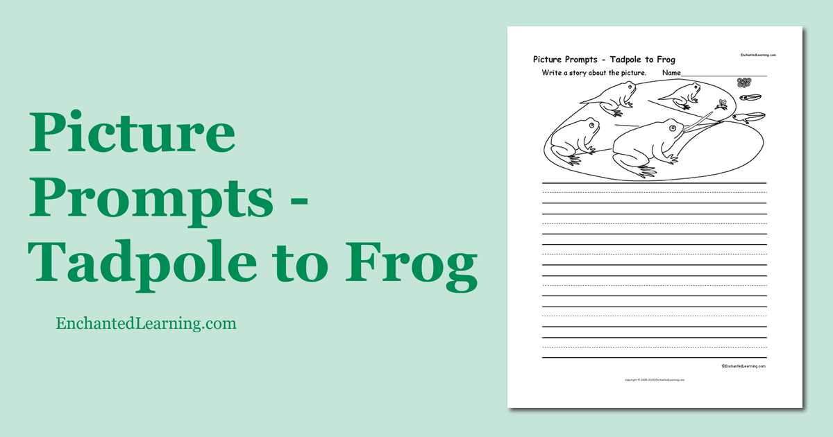 Picture Prompts - Tadpole to Frog - Enchanted Learning