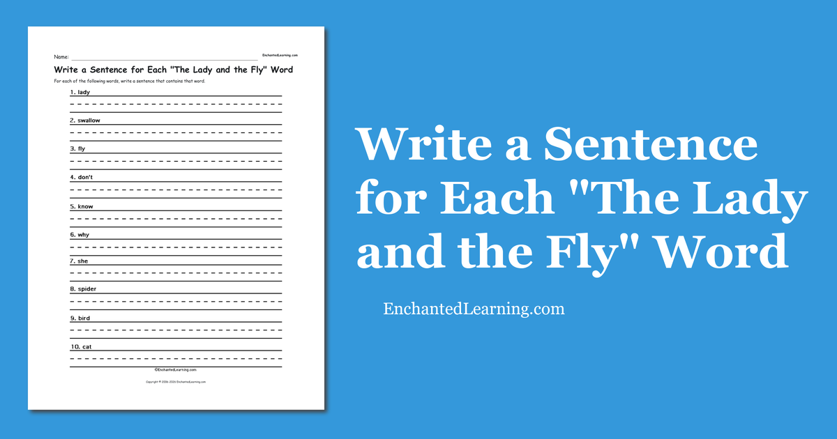 Write a Sentence for Each "The Lady and the Fly" Word - Enchanted Learning