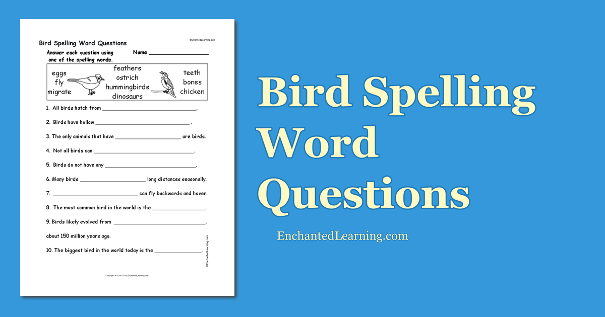 Bird Spelling Word Questions - Enchanted Learning