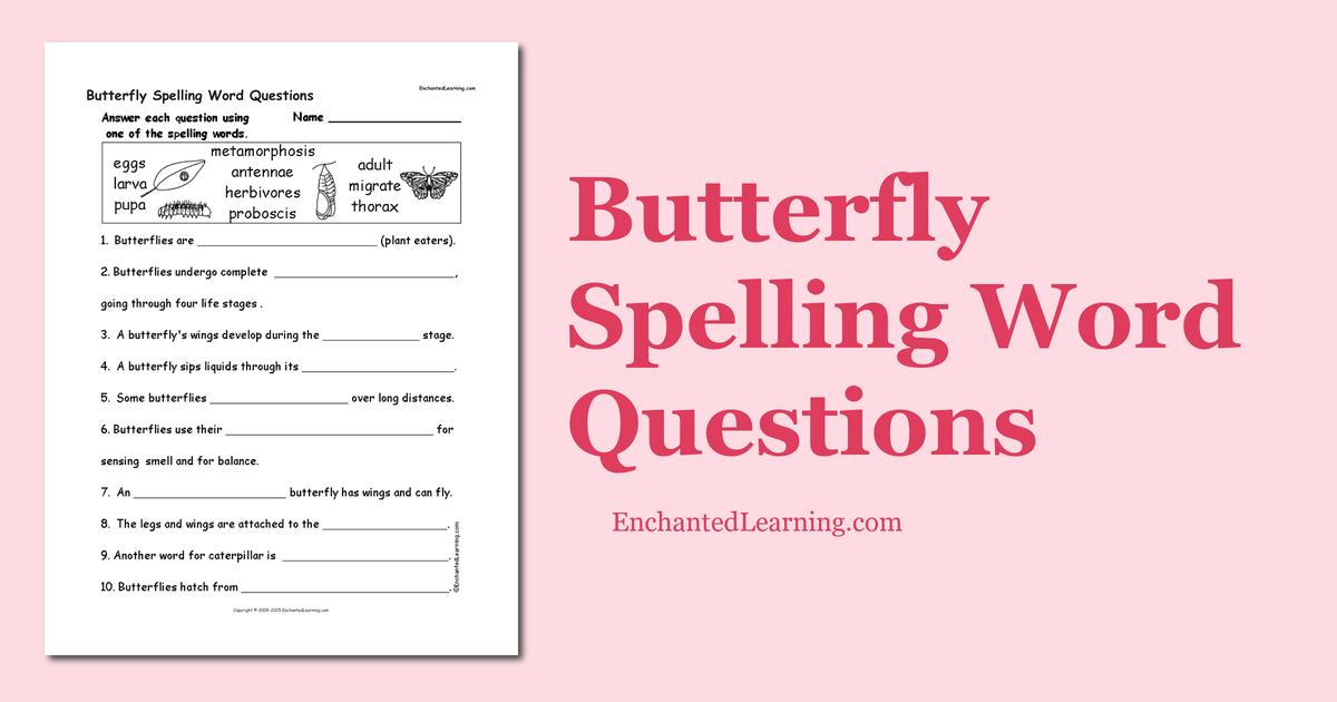 Butterfly Spelling Word Questions - Enchanted Learning