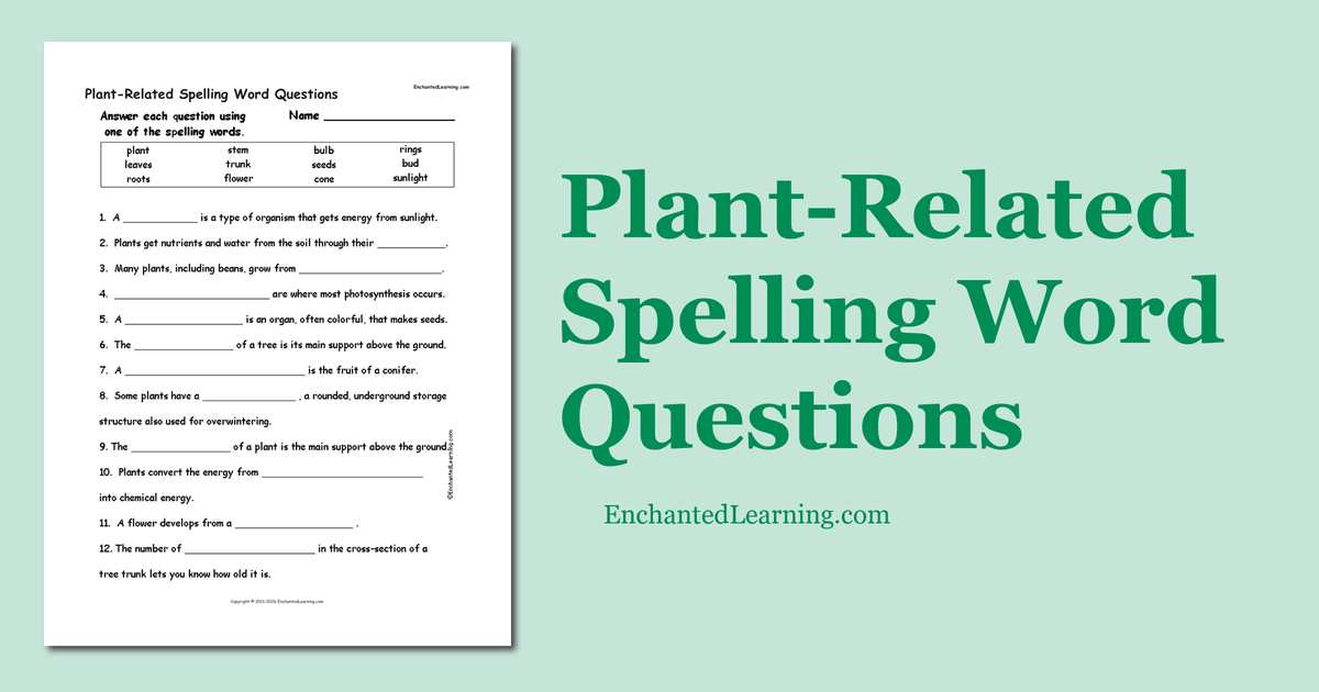 Plant-Related Spelling Word Questions - Enchanted Learning