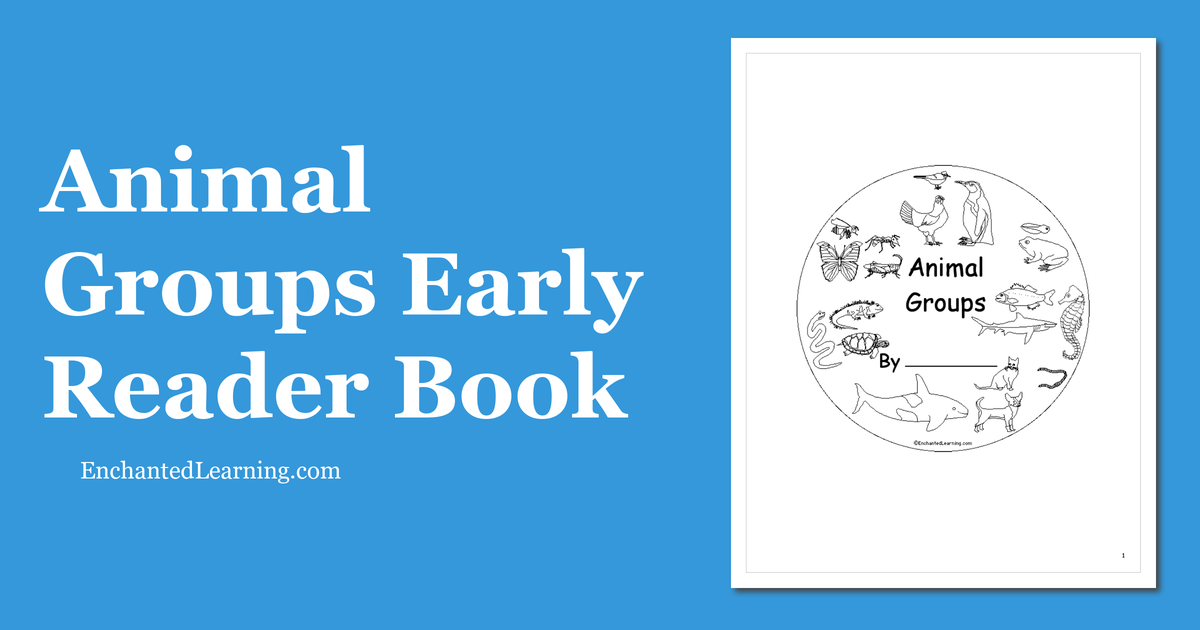 Animal Groups Early Reader Book - Enchanted Learning