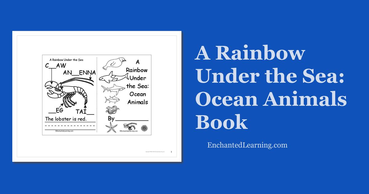 A Rainbow Under the Sea: Ocean Animals Book - Enchanted Learning