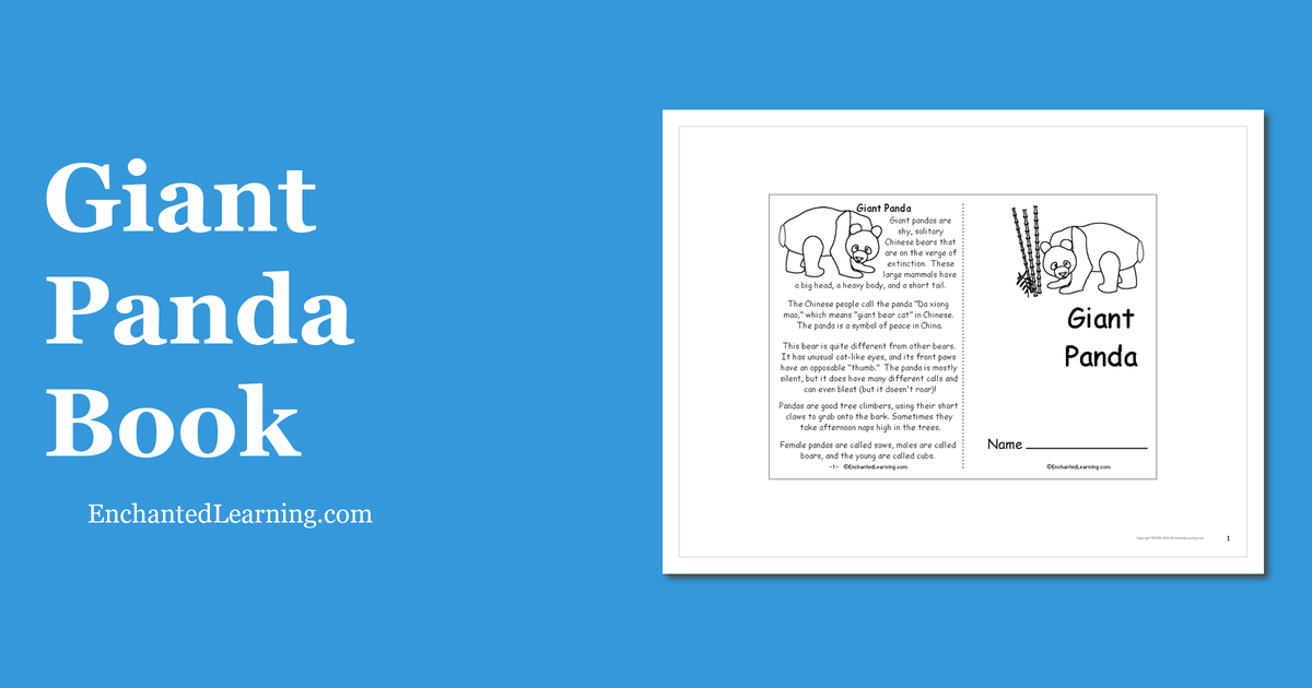 Giant Panda Book - Enchanted Learning