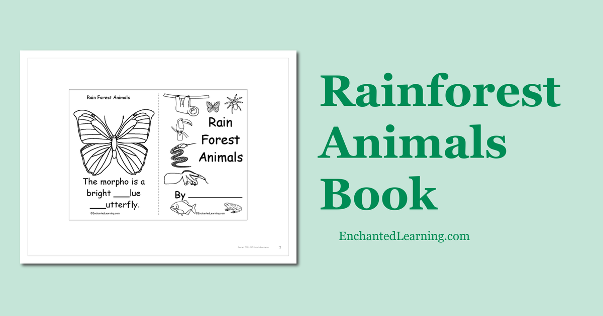 Rainforest Animals Book - Enchanted Learning