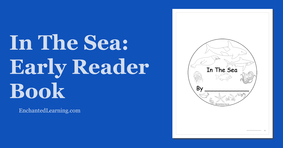 In The Sea: Early Reader Book - Enchanted Learning