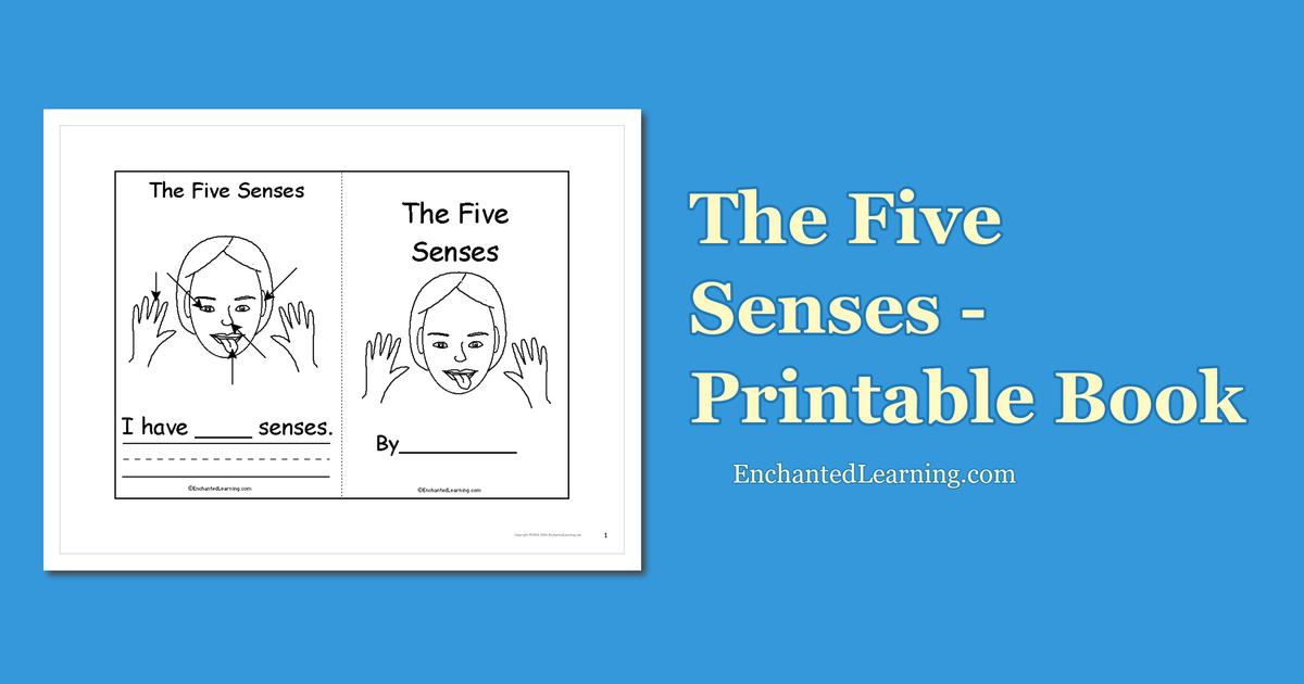 The Five Senses - Printable Book - Enchanted Learning