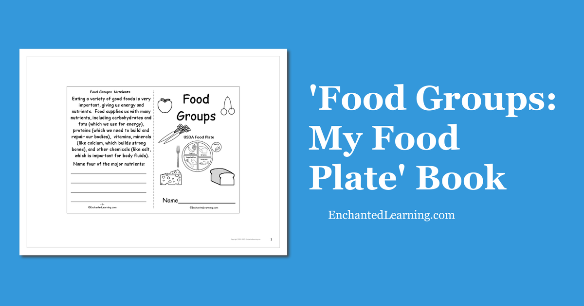 'Food Groups: My Food Plate' Book - Enchanted Learning