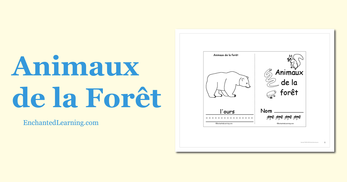 Animaux de la Forêt - Enchanted Learning