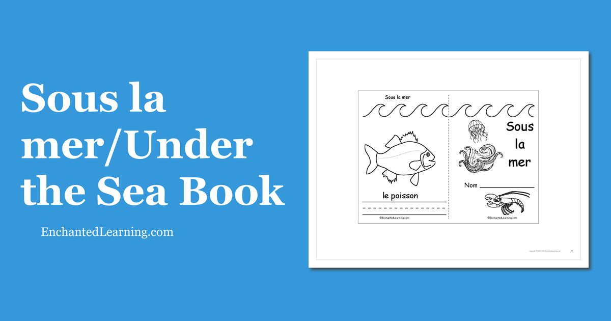 Sous la mer/Under the Sea Book - Enchanted Learning