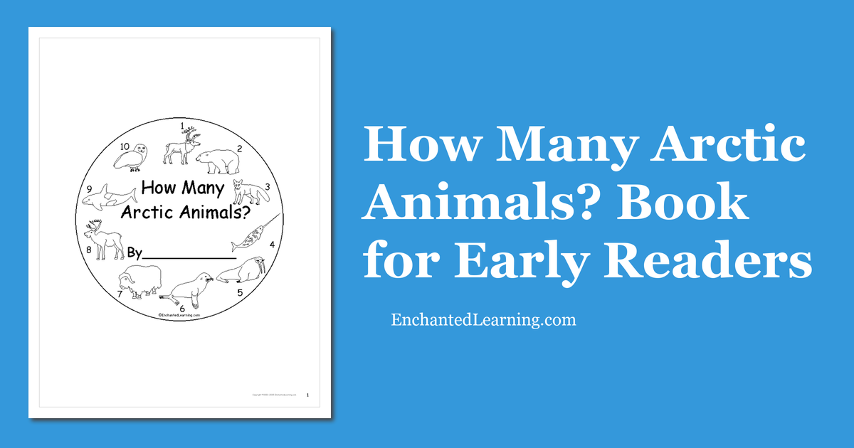 How Many Arctic Animals? Book for Early Readers - Enchanted Learning