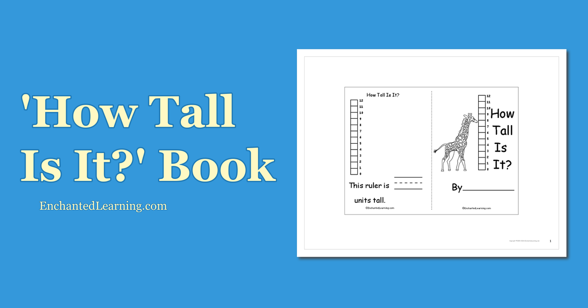 'How Tall Is It?' Book - Enchanted Learning