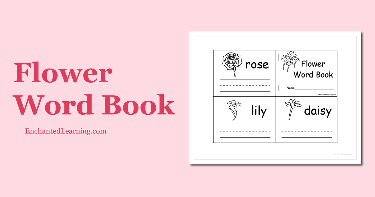 Flower Word Book - Enchanted Learning