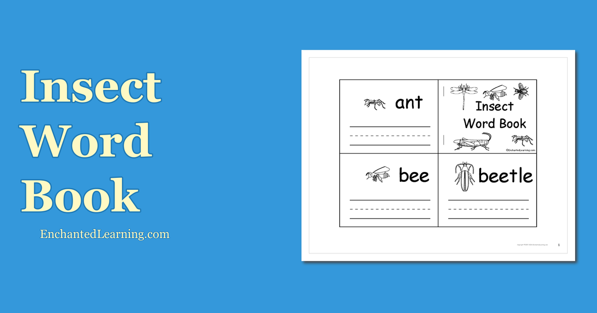Insect Word Book - Enchanted Learning