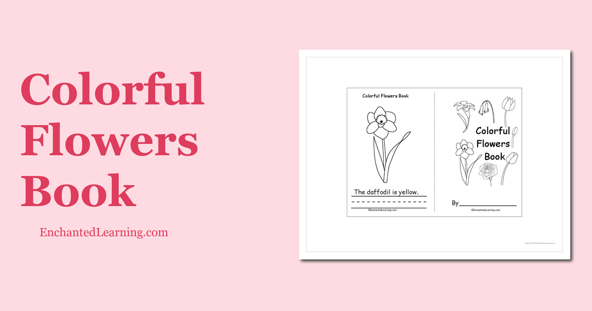 Colorful Flowers Book - Enchanted Learning