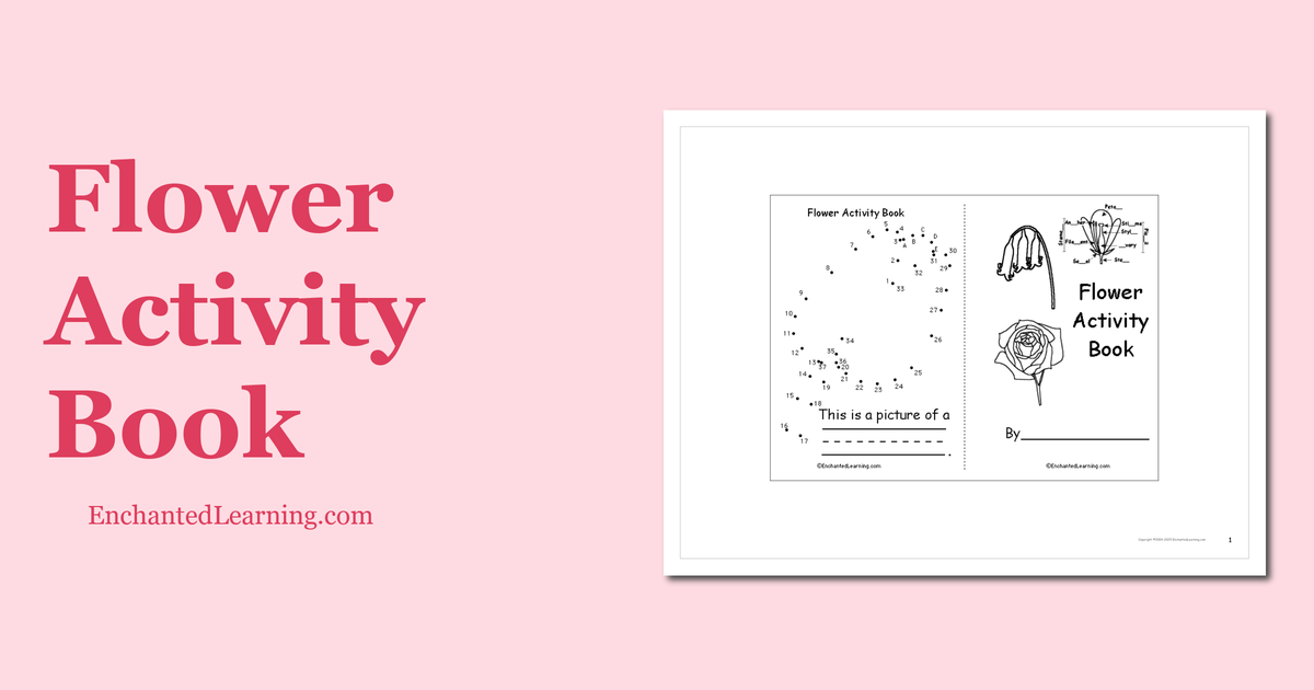 Flower Activity Book - Enchanted Learning