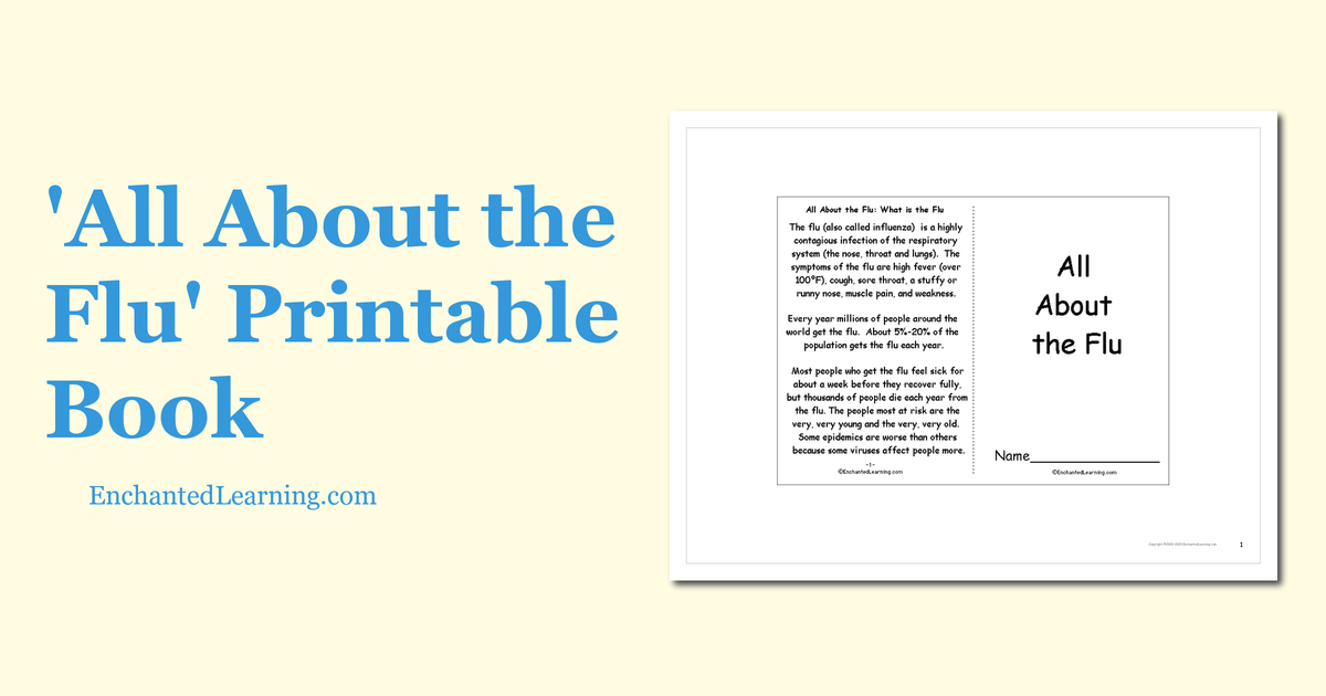 'All About the Flu' Printable Book - Enchanted Learning