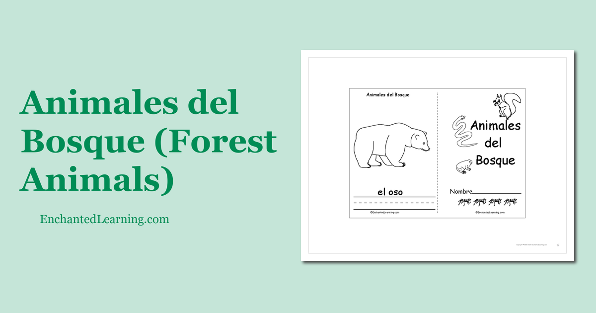 Animales del Bosque (Forest Animals) - Spanish Printable Book ...