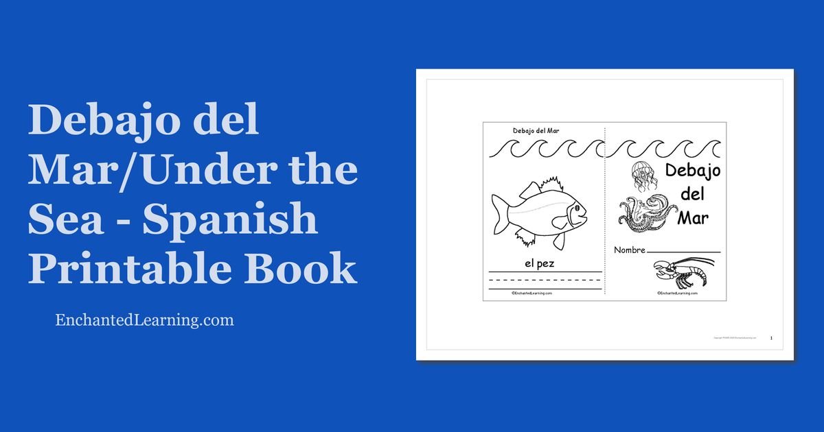 Debajo del Mar/Under the Sea - Spanish Printable Book - Enchanted Learning