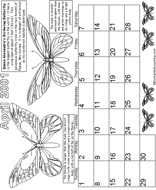 April Calendar 2001 - Butterfly: EnchantedLearning.com