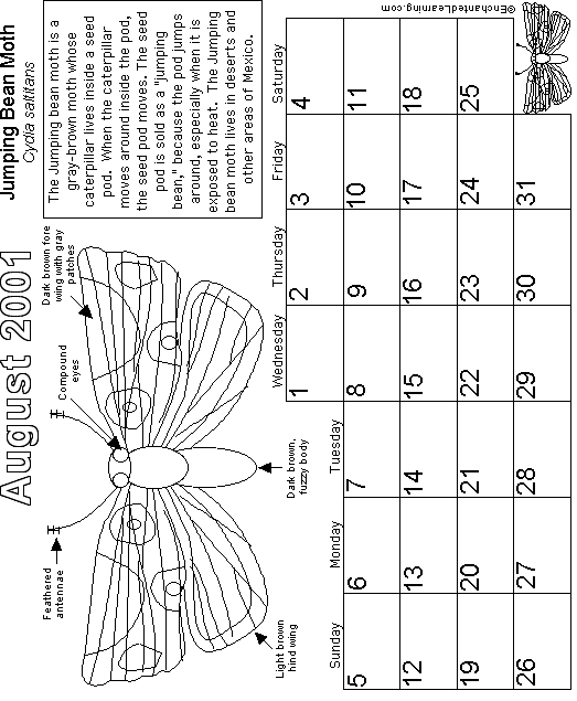 August Calendar 2001 -Butterfly: EnchantedLearning.com