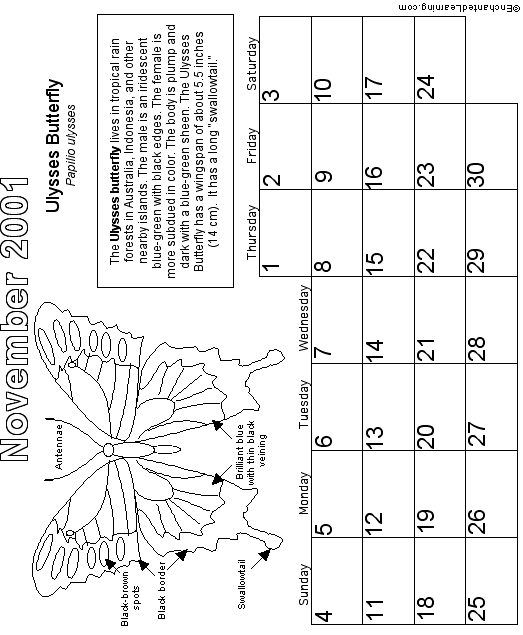 November Calendar 2001 -Butterfly: EnchantedLearning.com