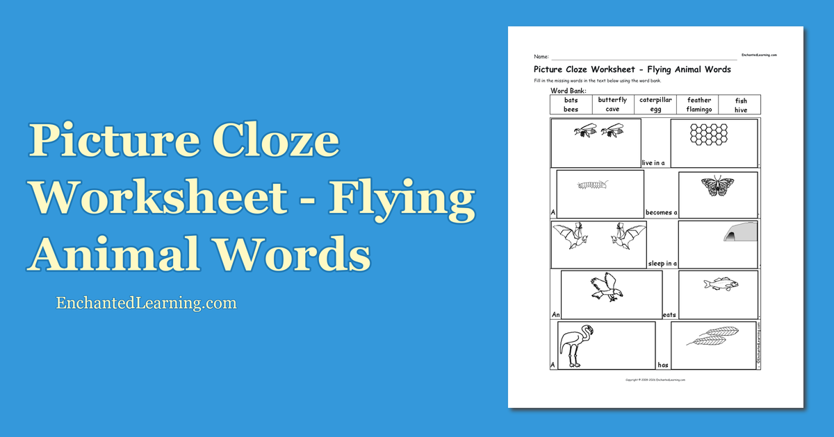 Picture Cloze Worksheet - Flying Animal Words - Enchanted Learning
