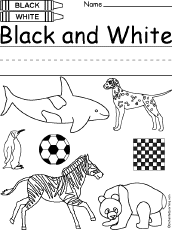 Black And White Objects Names