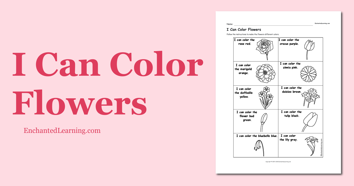 I Can Color Flowers - Enchanted Learning