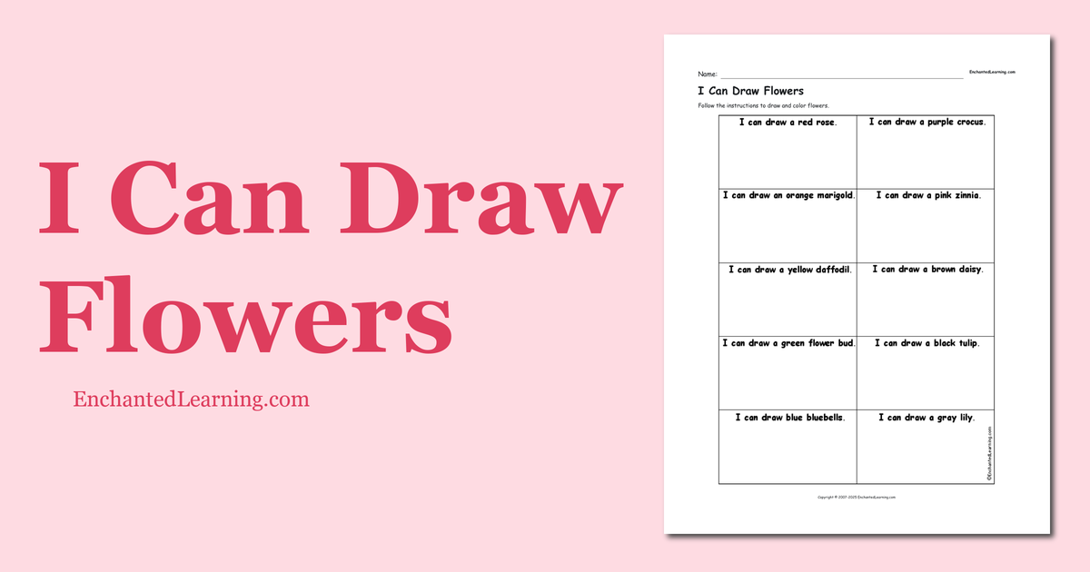 I Can Draw Flowers - Enchanted Learning