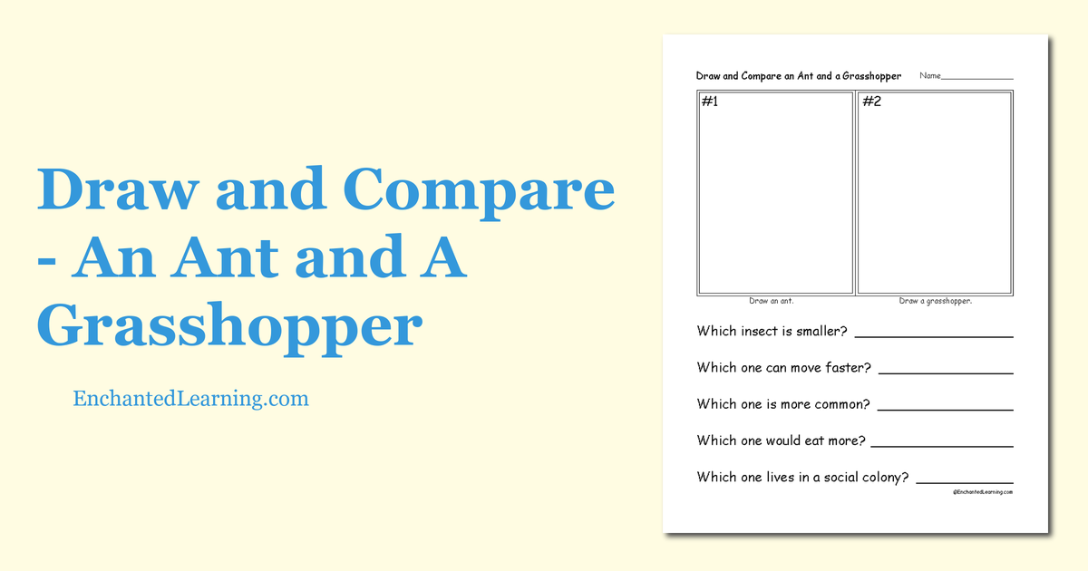 Draw and Compare - An Ant and A Grasshopper - Enchanted Learning