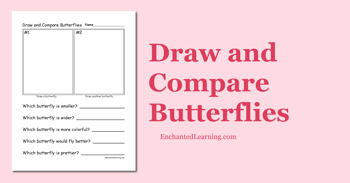 Draw and Compare Butterflies - Enchanted Learning