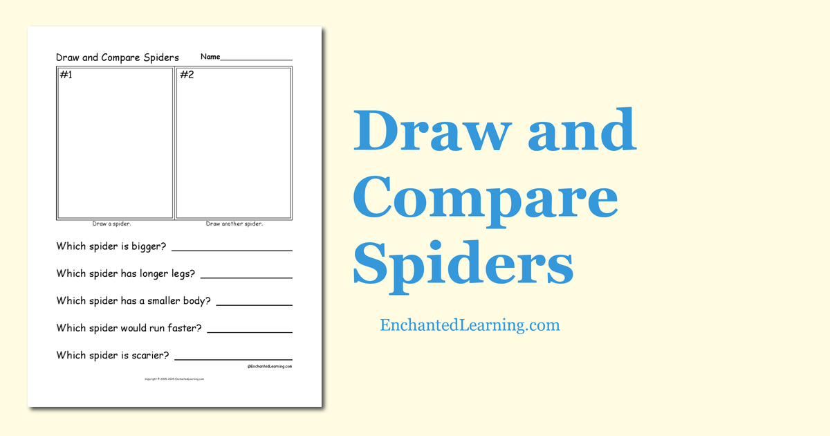 Draw and Compare Spiders - Enchanted Learning